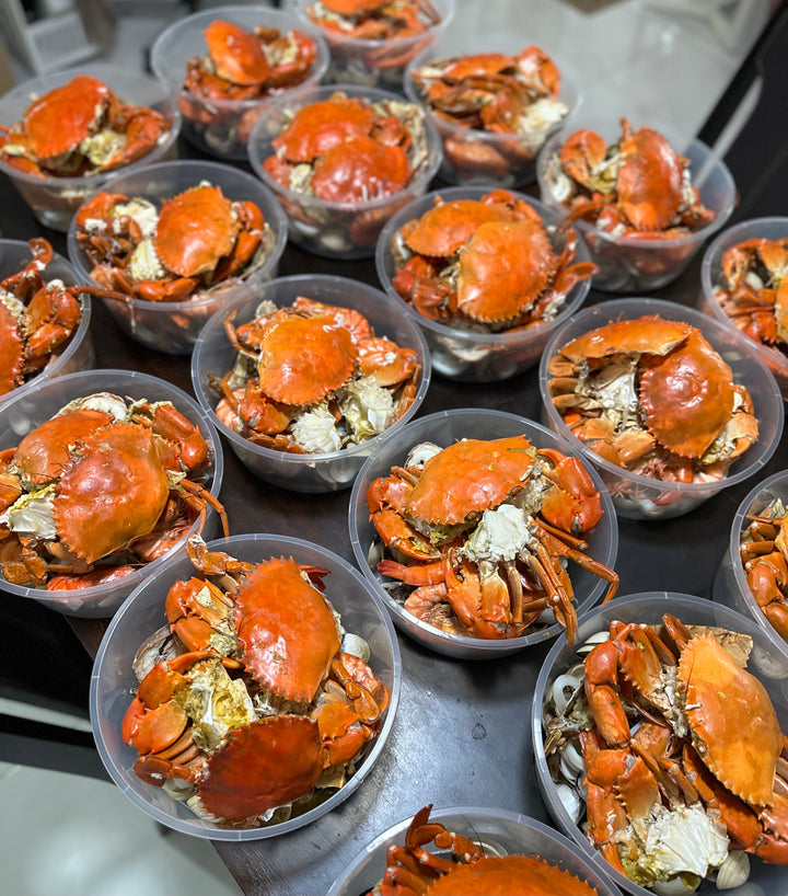 Muslim Owned Shellout Expert – SAOS Singapore